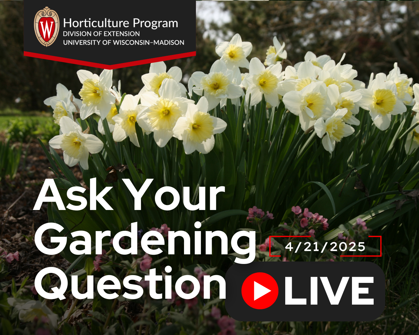 Ask Your Gardening Questions – Extension Washburn County